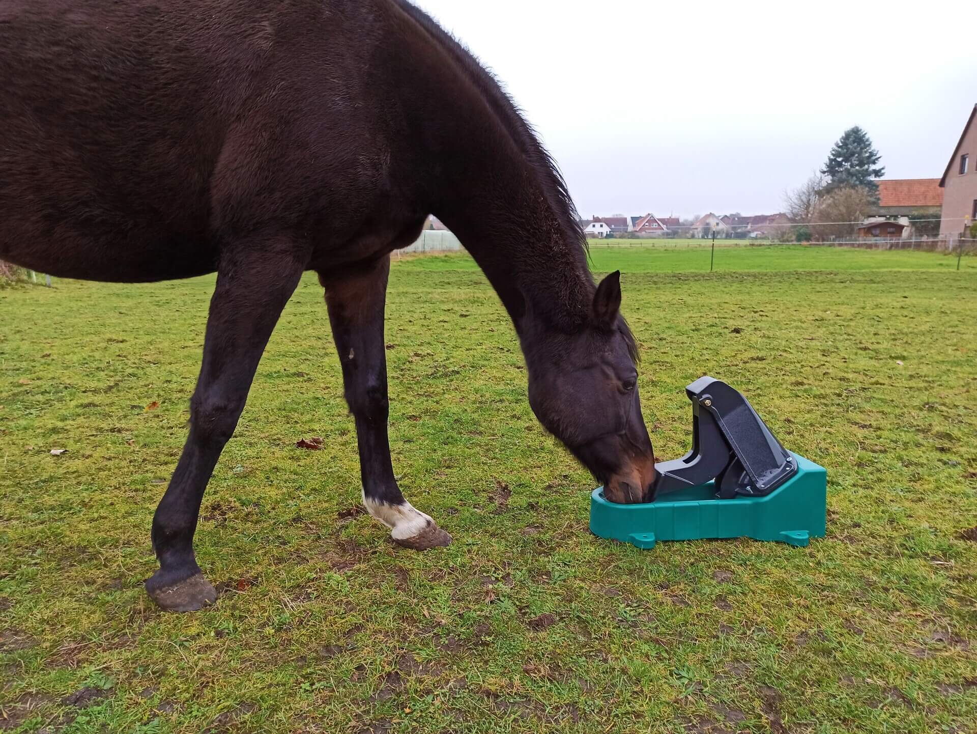 Diaphragm pasture pump Mod. 547 STANDARD | SUEVIA HAIGES GmbH