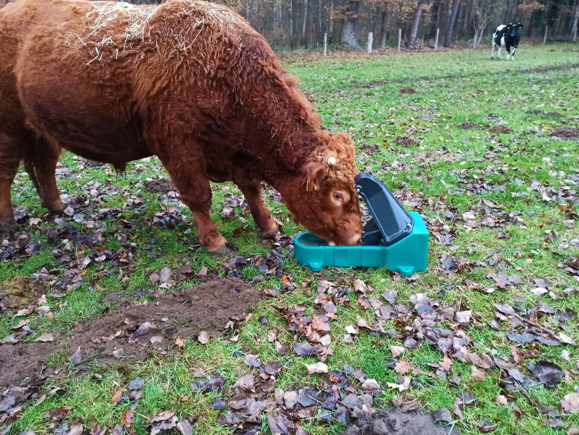 Diaphragm pasture pump Mod. 547 STANDARD | SUEVIA HAIGES GmbH